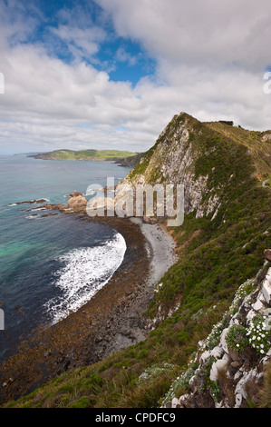 Nugget Point, Otago, South Island, New Zealand Stock Photo - Alamy