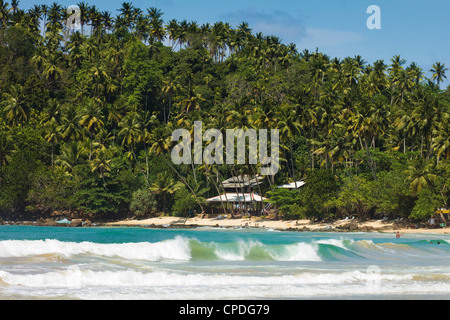 Surfing a wave at Mirissa Beach, Sri Lanka Stock Photo - Alamy