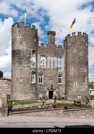 Enniscorthy Castle, Enniscorthy, County Wexford, Ireland, Europe Stock ...