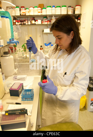 Haematology laboratory. Haematologist with samples in the haematology ...