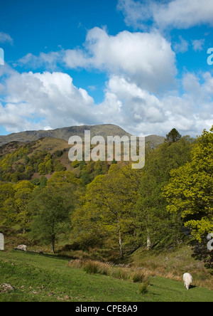 Wetherlam and Black Fell from Skelwith, Lake District National Park ...