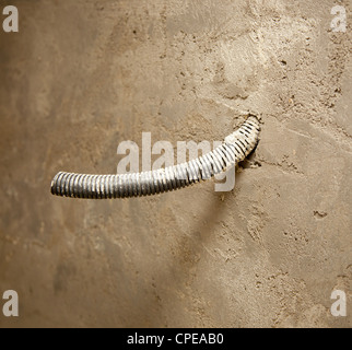 electrical coil conduit pipe on box with messy cables installation ...