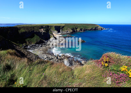 Fishermans Cove, Navax Point, the North Cliffs Coast, Portreath ...