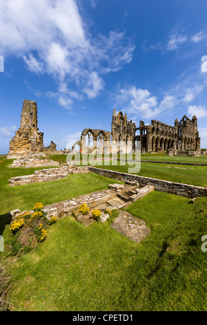 Whitby Abbey, Yorkshire - general view Stock Photo - Alamy