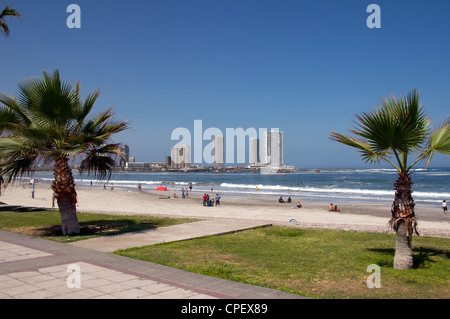 Chile. Iquique city. Cavancha beach Stock Photo - Alamy