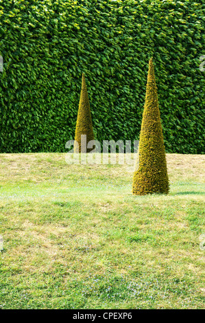 triangle plant hedge landscape garden pattern geometry math shape ...