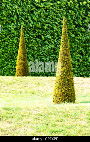 triangle plant hedge landscape garden pattern geometry math shape ...