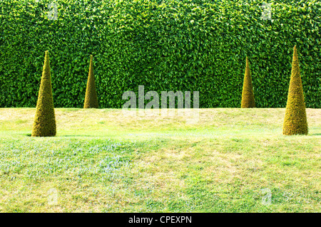triangle plant hedge landscape garden pattern geometry math shape ...