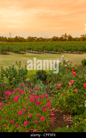 Australia - Bunbury, Western Australia Stock Photo - Alamy