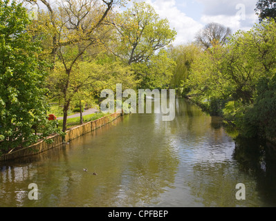 The River Little Ouse at Brandon Suffolk England UK Stock Photo - Alamy