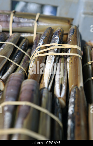 Razor clams from Scotland stacked and bound ready for sale Stock Photo ...