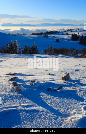 Panorama of snowy mountains and icy sea surrounding Peak Barden at ...