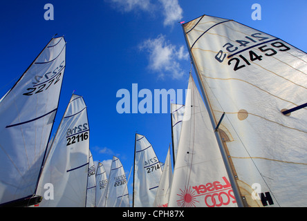 Laser 2000 sailing race Stock Photo - Alamy