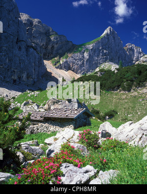 Austria, Tyrol, Rofan, Rofangebirge, Hochiss, Grundschartner Stock ...