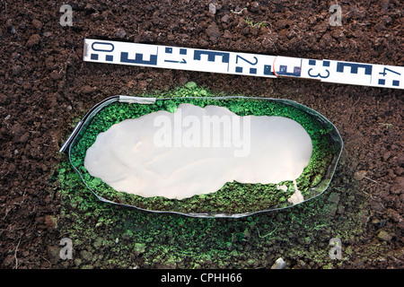 Police, crime scene investigation. Police saves footprints at a crime ...