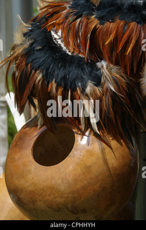 Ipu Gourd Hawaii Stock Photo - Alamy