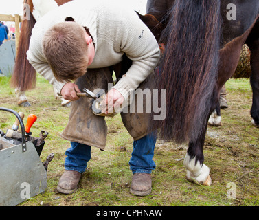 Traditional Farrier fitting horse shoe, North Wales, UK Stock Photo ...