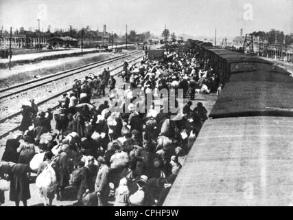 Jews arriving at Auschwitz concentration camp, 1944. According to legal ...