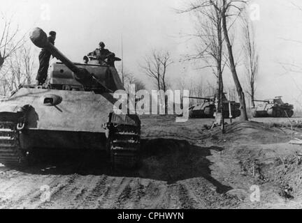 German Panther tank in Hungary, 1945 Stock Photo - Alamy