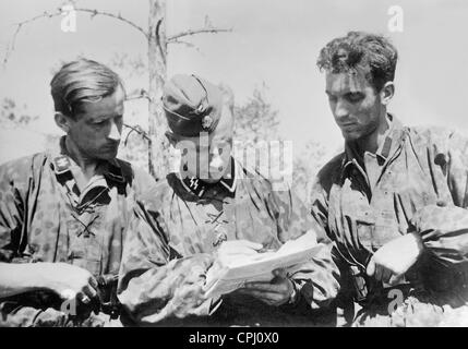 Flemish soldiers of the Waffen-SS on the Eastern Front, 1942 Stock ...