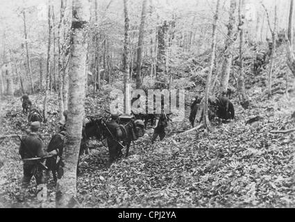 German mountain troops in the Caucasus, 1942 Stock Photo - Alamy