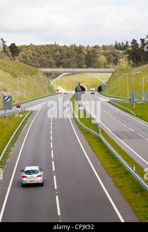 Entrance to a highway tunnel with two lanes, green traffic lights and ...