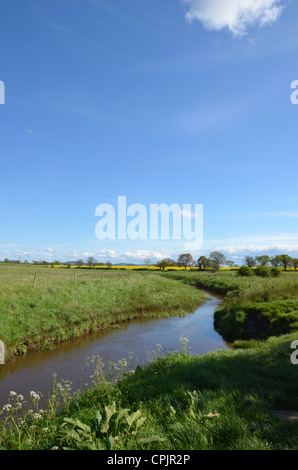 The river Gowy cutting through the countryside, Cheshire Stock Photo ...