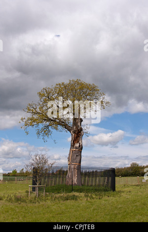 An image of 'The Royal Oak' at Boscobel House, Shropshire, where King ...