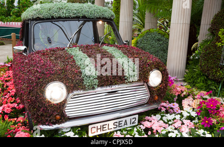 Flower Mini At The Chelsea Flower Show London UK Stock Photo - Alamy