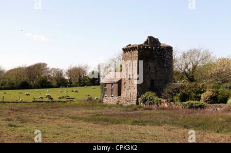 The village of Angle in Pembrokeshire, Wales Stock Photo - Alamy