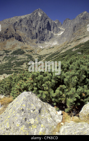 View of the Lomnicky stit from Skalnate pleso in High Tatras, Slovakia ...