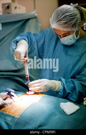 BONE MARROW ASPIRATION Stock Photo - Alamy