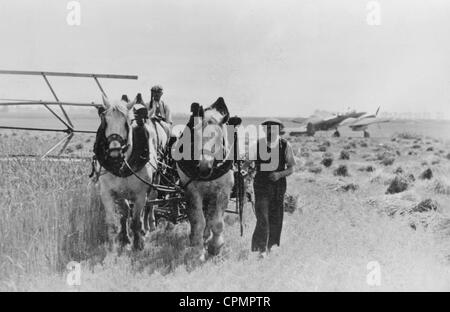 French farmers with team of horses, in the background a destroyed ...