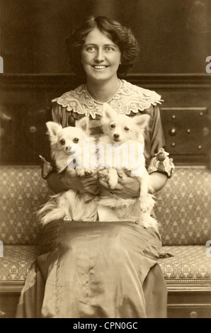 pair of Pomeranian dogs Stock Photo - Alamy