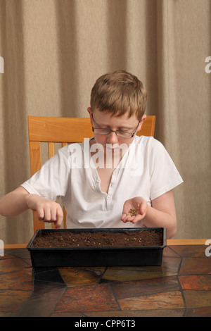 Boy sowing seeds Stock Photo - Alamy