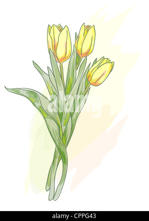 Watercolor yellow tulips bouquet. Spring orange flowers with green ivy ...