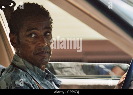 SherryBaby Year : 2006 Director : Laurie Collyer Maggie Gyllenhaal ...