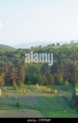 Looking to Baron Wood from Coombs Wood at Armathwaite, Eden Valley ...