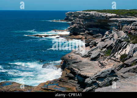 Cape Solander Lookout , New South Wales, Australia Stock Photo - Alamy