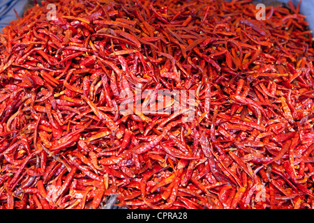 Bunch of small red chili peppers and garlic bulbs on white background ...