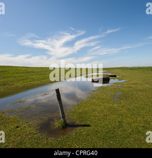 Hoo Peninsula marshes Medway estuary Kent with the remains of a Stock ...