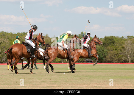 The Villages Polo Club Florida USA Florida USA In the saddle here is ...