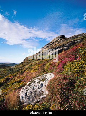 Haytor Vale, Dartmoor, Devon, UK. 7th January 2024. UK Weather. It was ...