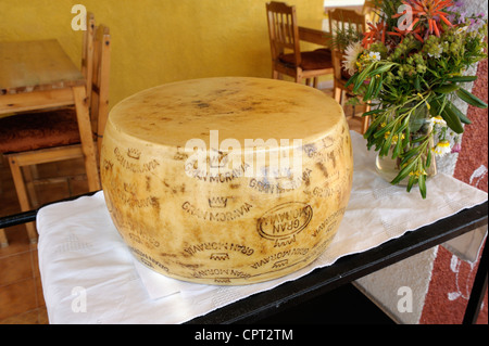 gran moravia cheese known as Parmesan cheese produced in the Czech ...