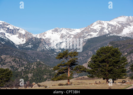 Picnic in park Stock Photo - Alamy