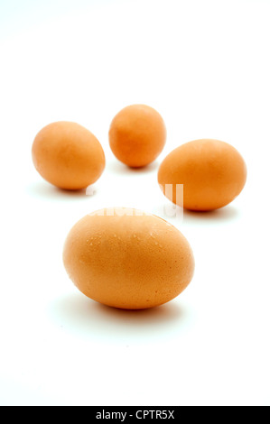 Brown Eggs on white Background Stock Photo - Alamy