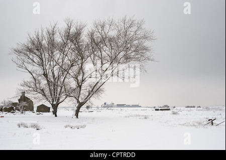 Winter snows comes to the Hoo peninsula, Kent England. Sight of the ...