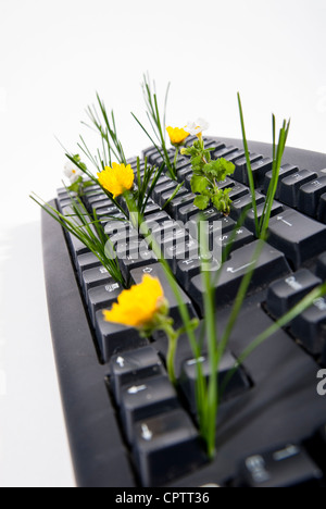 Grass growing from computer keyboard, ecology metaphor Stock Photo - Alamy