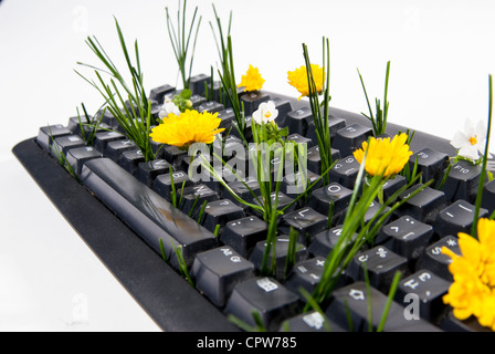 Grass growing from computer keyboard, ecology metaphor Stock Photo - Alamy
