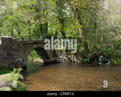 Grenofen Bridge over the River Walkham in Dartmoor, Devon, England, UK ...